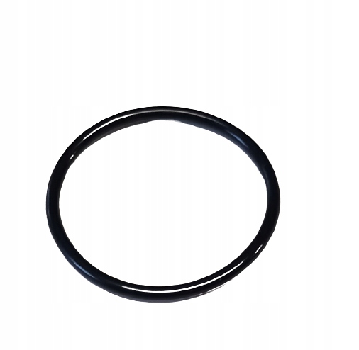 Oring czujnika poziomu oleju Mercedes 0249977445 - 11744217802 ...