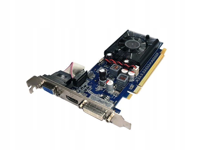 Karta graficzna nVidia GeForce 310 PCI-E x16 - 7853342214 - oficjalne ...