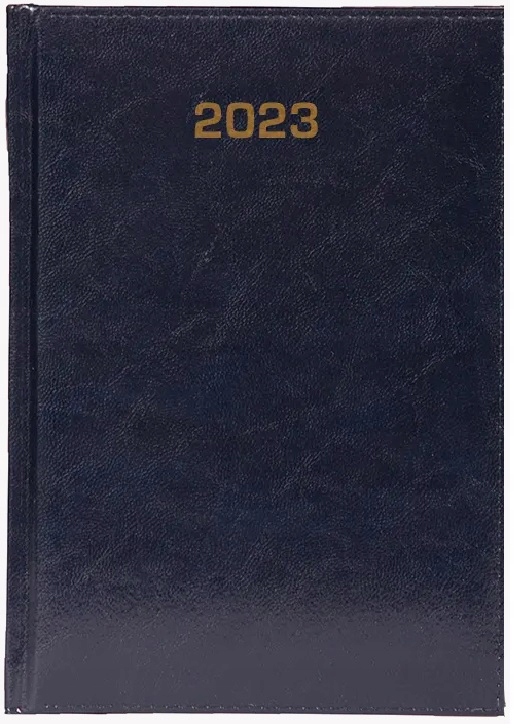 KALENDARZ TERMINARZ BALADEK DZIENNY B6 2023 GRANAT - 12758200994 ...