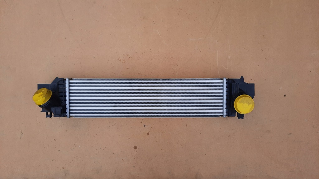 INTERCOOLER BMW X1 F48 X2 F39 1 F40 17517617598 - 12109806306 ...