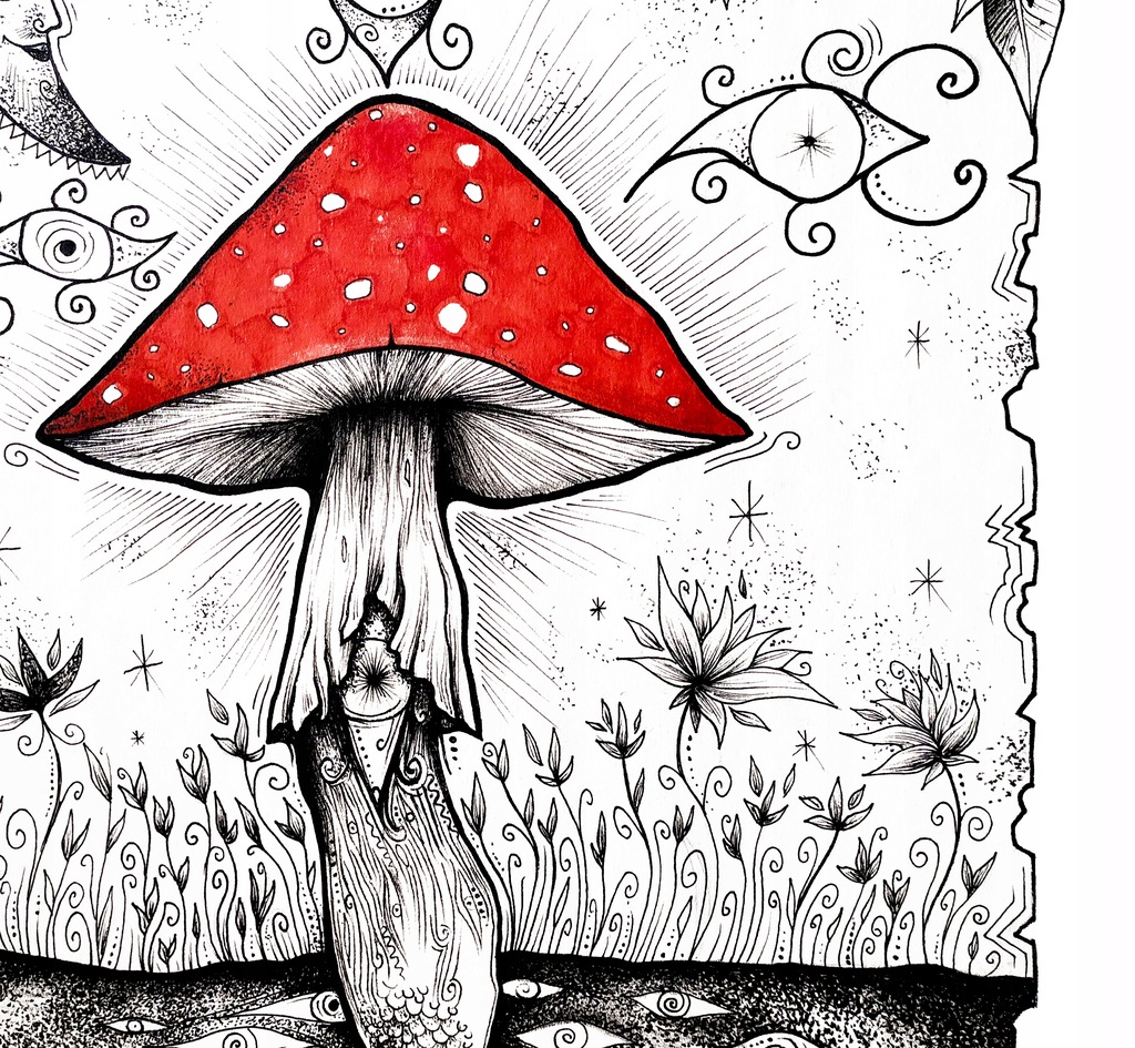 Plakat | Muchomor | Print | Rysunek | Grafika | A3 - 11295995812 ...