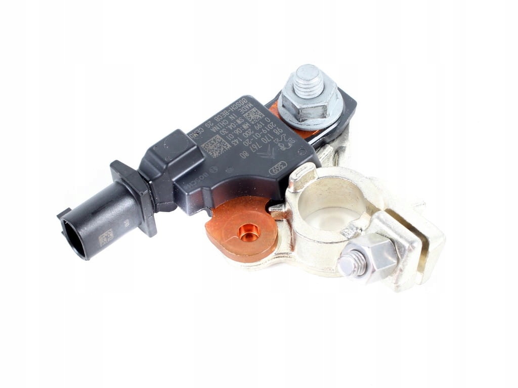 KLEMA MINUSOWA BEZPIECZNIK PEUGEOT 407 508 - 13390723936 - oficjalne ...