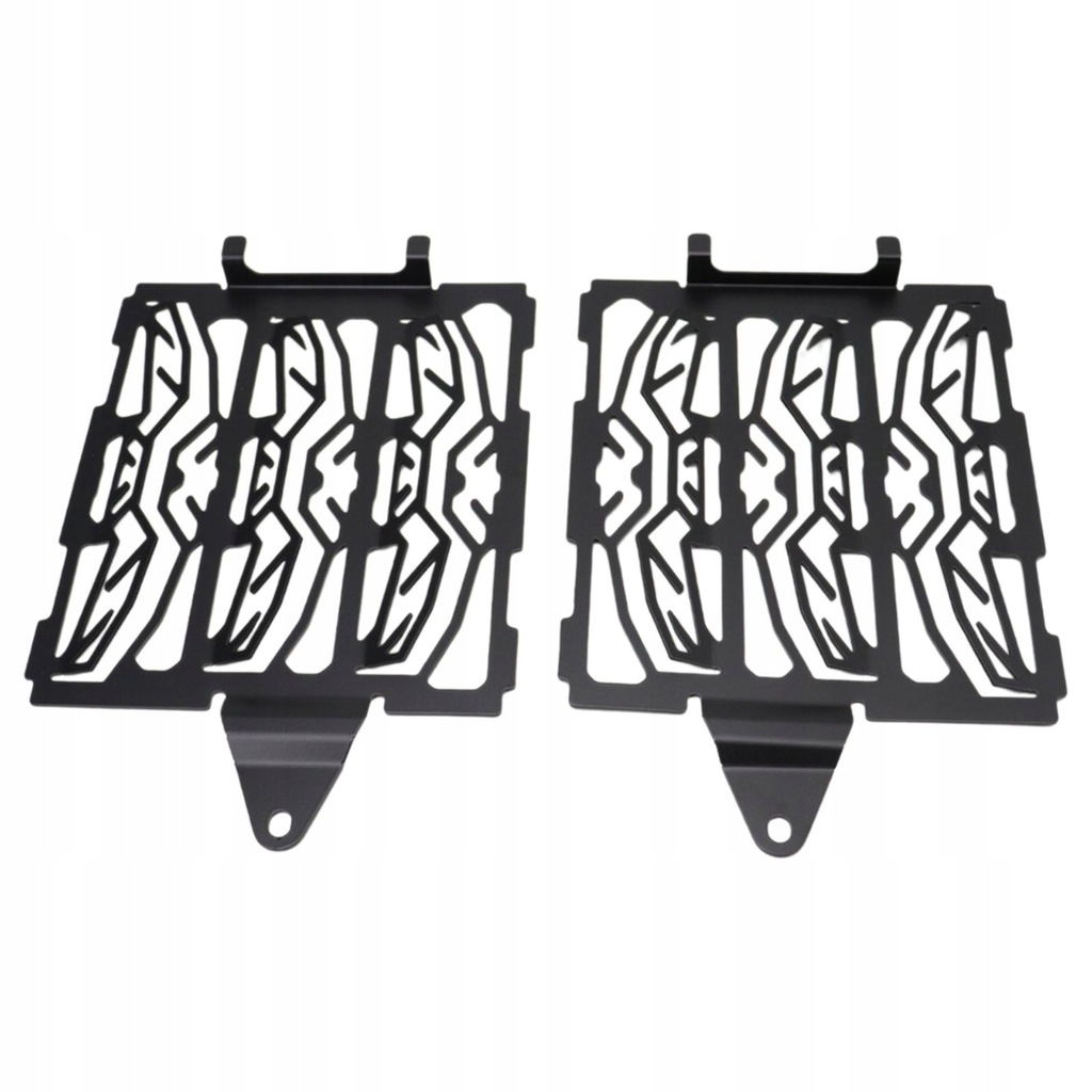 Radiator Grille Guard Cover for BMW R1300GS 2023 Simple Installation ...