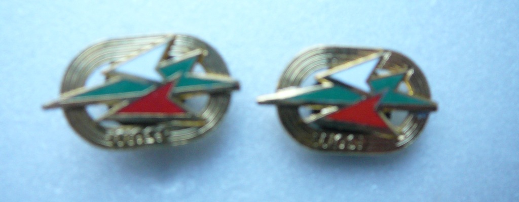 Odznaki WOSF 2 szt złote - 12498989323 - oficjalne archiwum Allegro