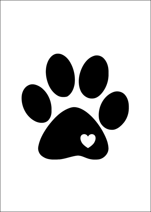 PLAKAT BALANCE 40x50 łapka kota psa SERCE obrazek - 11385678775 ...