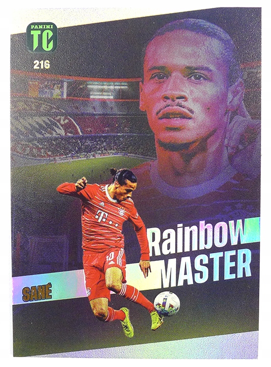 karty TOP CLASS 2023 RAINBOW MASTER RM Sane 216 - 13647861467 ...