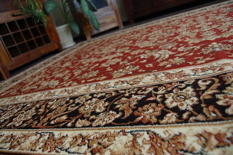 DYWAN STANDARD 60x120 HERMIONA terakota #ST848 - 7929025614 - oficjalne ...