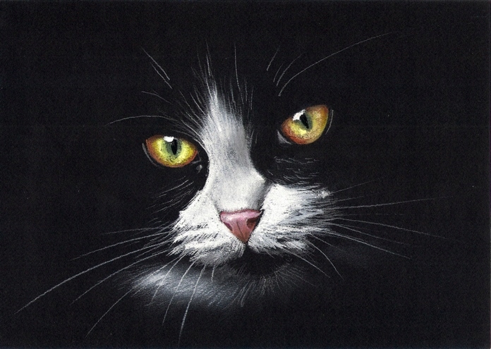 KOT kotek koty kotki Rysunek obraz na prezent - A4 - 11105730850 ...