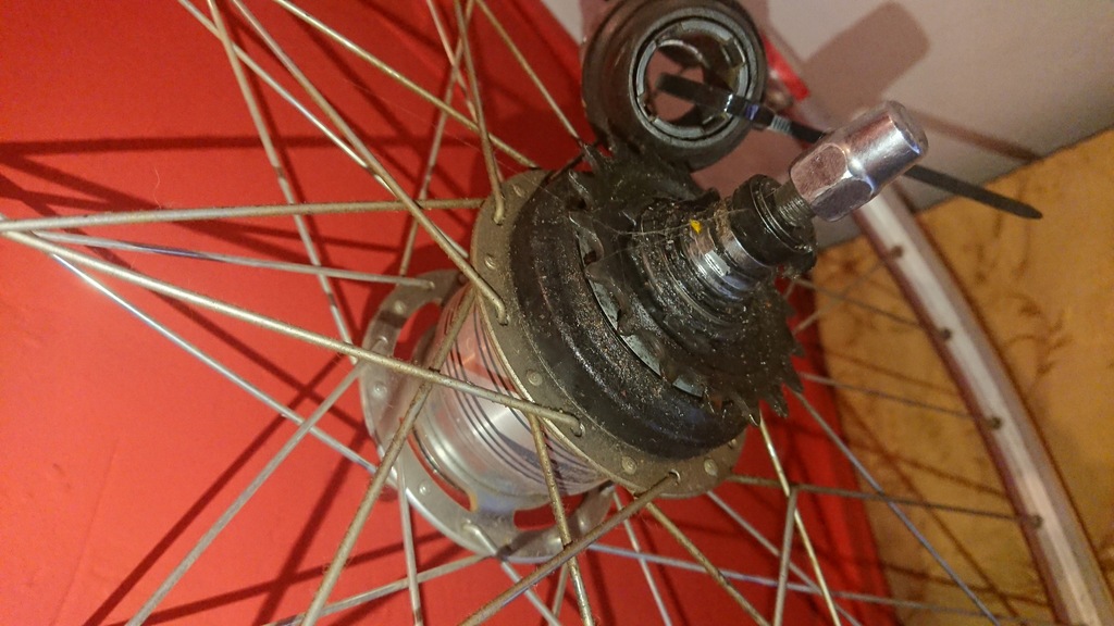 koło 28 shimano nexus 7 sg-7c18 + manetka - 12690004205 - oficjalne ...