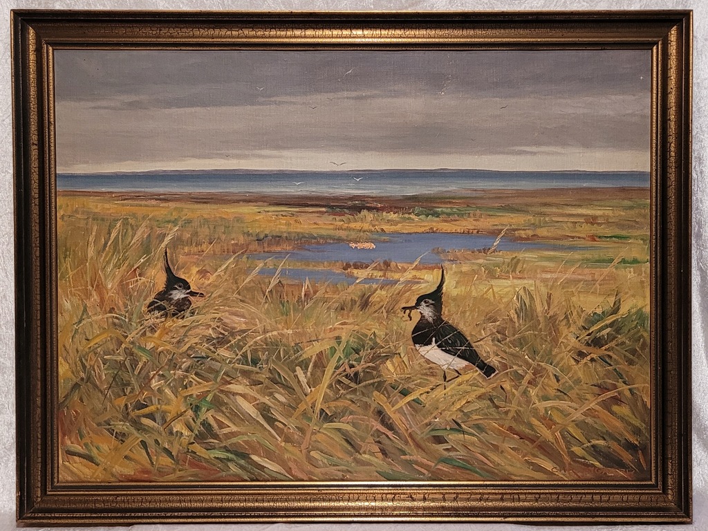 CHRISTIAN NYGAARD -„ CZAJKA ZWYCZAJNA ”, stary obraz olejny ...