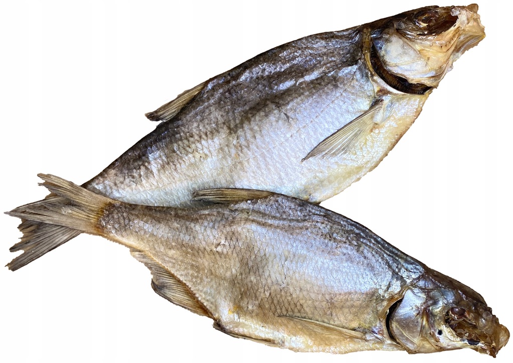 RYBA SUSZONA DO PIWA Leszcz 500+/-10g - 12324117781 - oficjalne ...