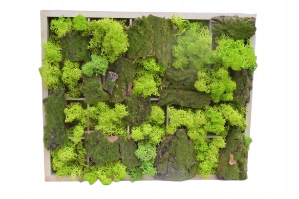 CHROBOTEK ŻYWA ŚCIANA OBRAZ MECH PANEL DEKORACYJNY - 13452752906 ...