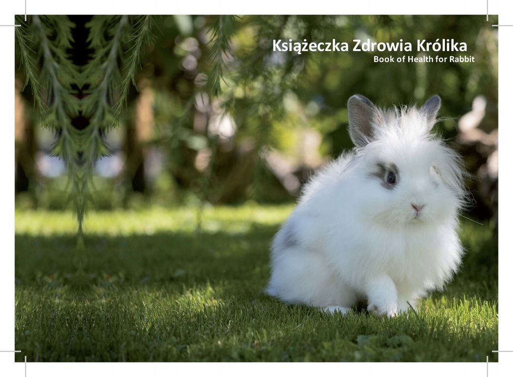 Książeczka zdrowia królika miniaturka angorka - 12380091869 - oficjalne ...