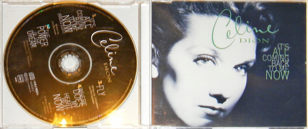 Celine Dion Its All Coming Back To Me Now Cd 12754680692