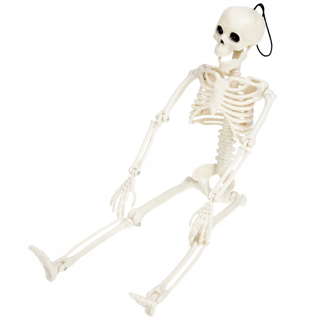 Posable Joints Skeletons Model Human Decorate - 13801161400 - oficjalne ...