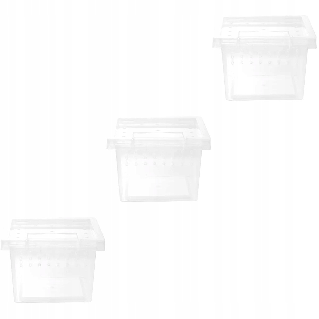 Terrarium Tarantula Reptile Tree Frog Cage - 13728366870 - oficjalne ...