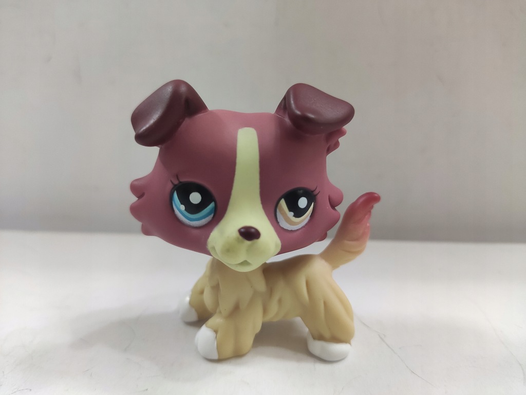 LPS Littlest Pet Shop pies collie#1262 - 10508126519 - oficjalne ...