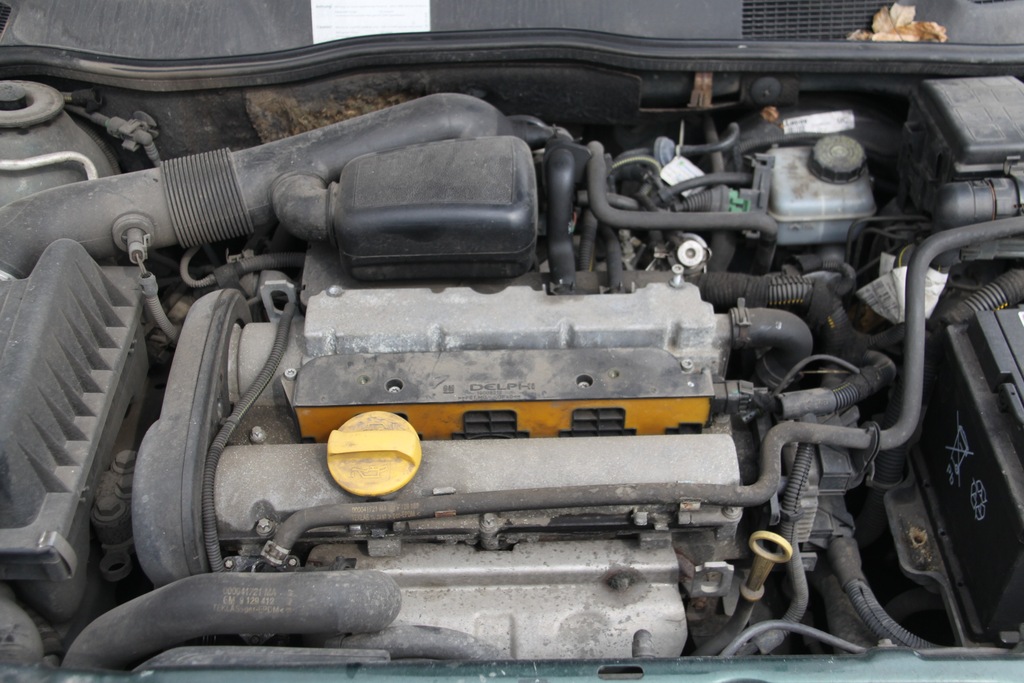 X16XE By Opel -- Fur Affinity [dot] Net, 57% OFF