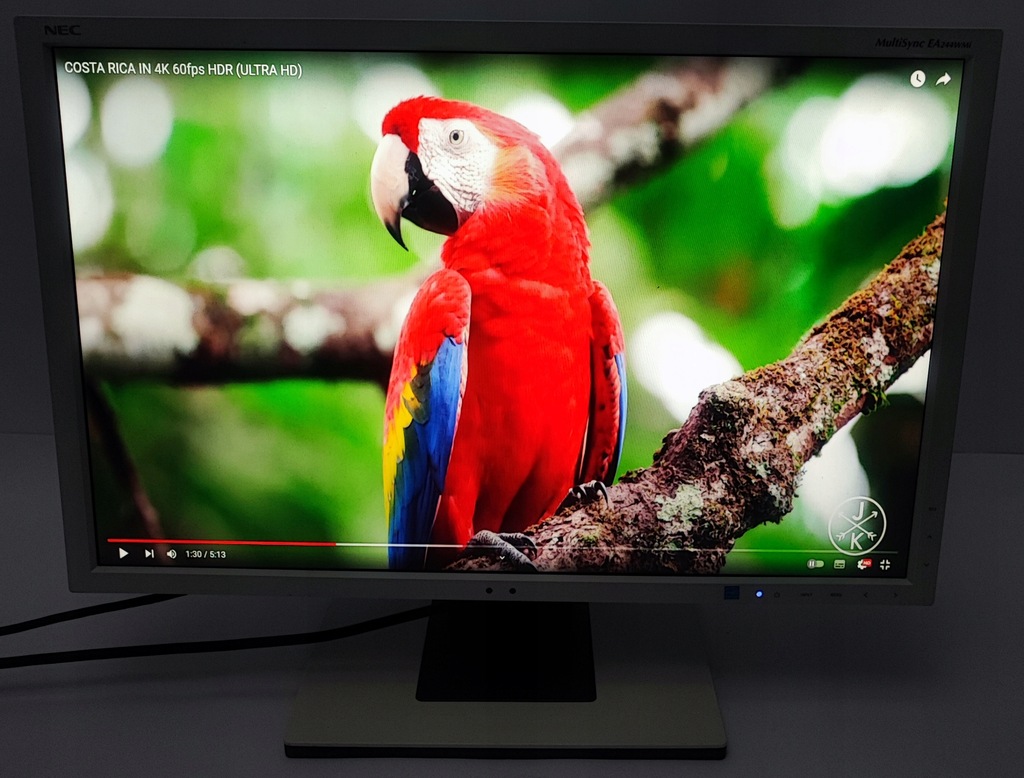 Monitor NEC MultiSync EA244WMi, 24", LED, IPS, 1920x1200 DVI/VGA/HDMI ...