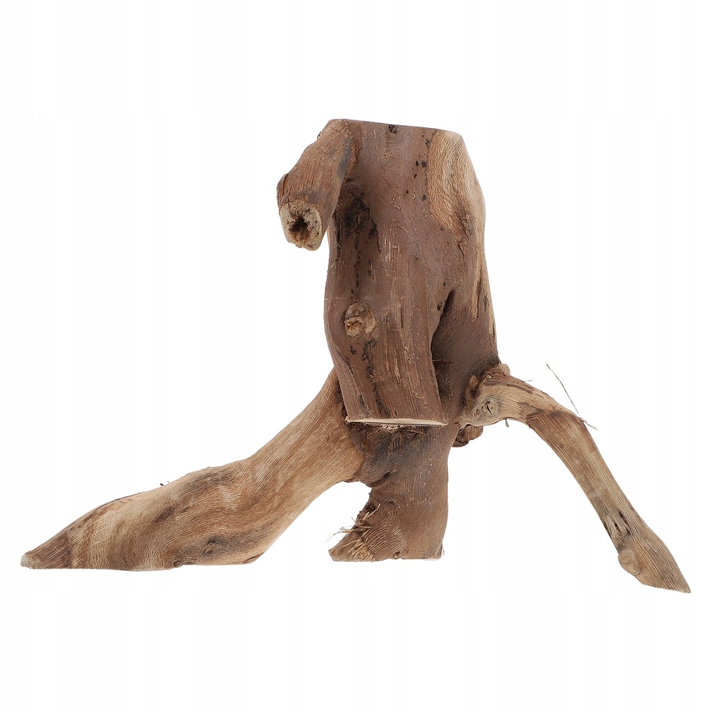 DIY FISH TANK BRANCHES HOUSE PLANTS INDOORS LIVE - 14767746831 ...