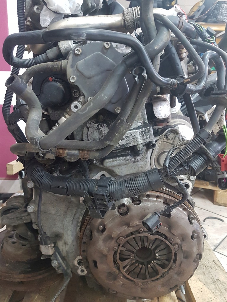 SILNIK KOMPLETNY BNZ VW T5 MULTIVAN 2.5 TDI KLIMA - 12061435468 - oficjalne archiwum Allegro