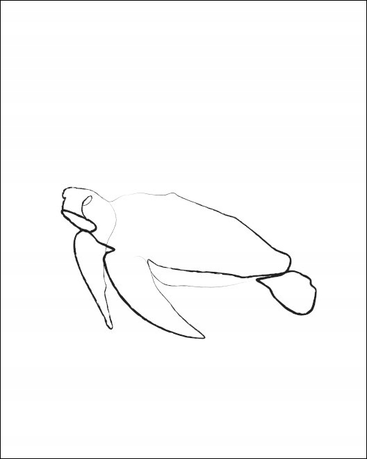 LINE ART rysunki DECO 40x50 ŻÓŁW turtle PICASSO - 10492840235 ...