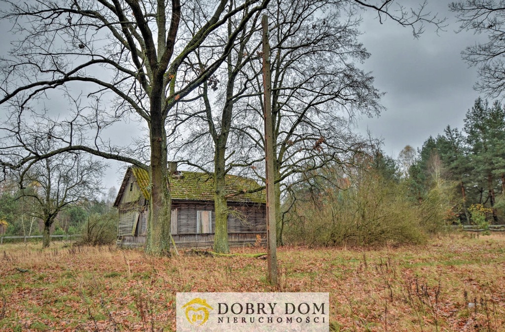 Dom, Bielsk Podlaski (gm.), Bielski (pow.), 60 m² - 12843730782 - oficjalne archiwum Allegro