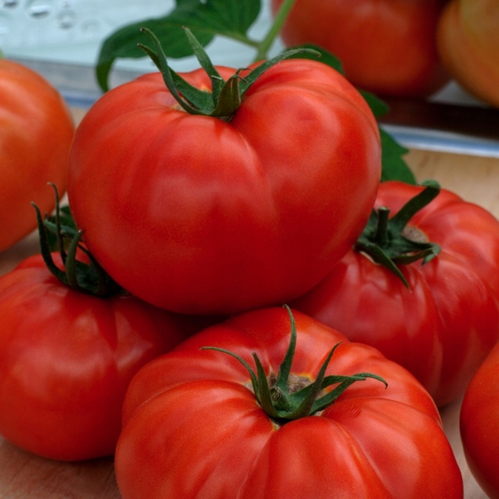 Pomidor Saint-Pierre typ malinowy pomidory nasiona - 13089398164 ...