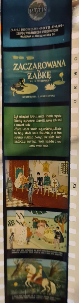 ZACZAROWANA W ŻABKĘ PTTK . BAJKA RZUTNIK ANIA - 9994433018 - oficjalne archiwum Allegro