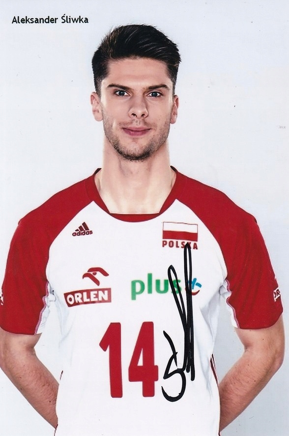 Siatkówka - Aleksander Śliwka (Polska) - 12609352467 - oficjalne archiwum Allegro