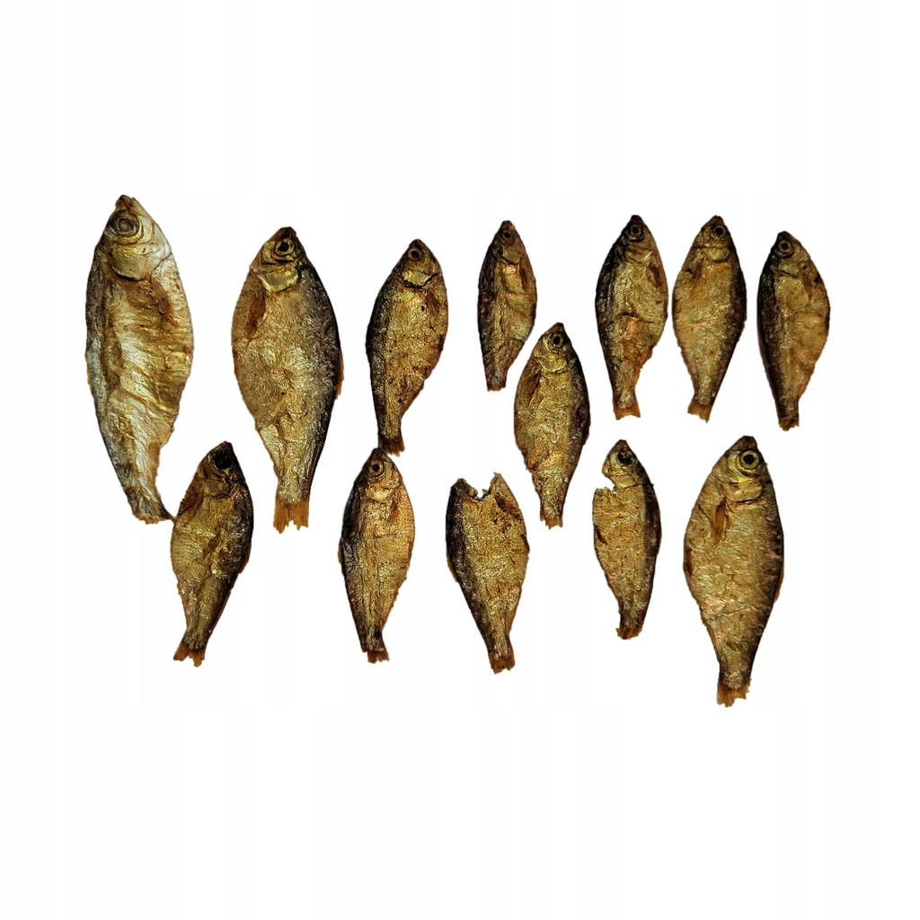 RYBKI SILVER BIDDY - SUSZONE - 100g ok. 70szt - DL - 12641470567 - oficjalne archiwum Allegro