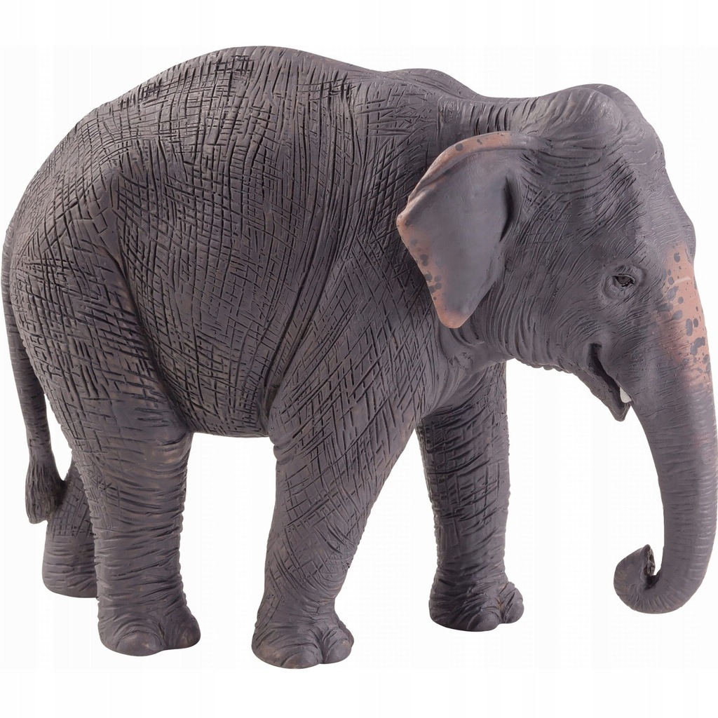 Figurka Mojo Animal Planet Słoń azjatycki 387266 - 12504287672 - oficjalne archiwum Allegro