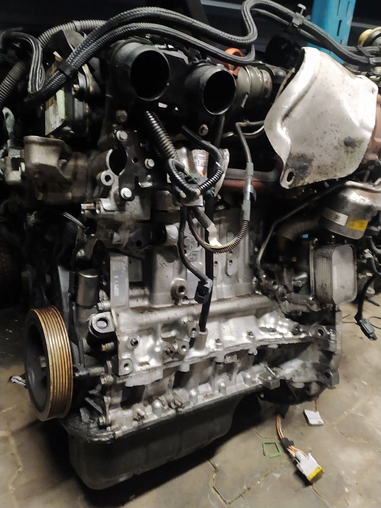 PEUGEOT CITROEN 1.6 Blue Hdi BH01 CAN SILNIK - 12323978230 - oficjalne archiwum Allegro