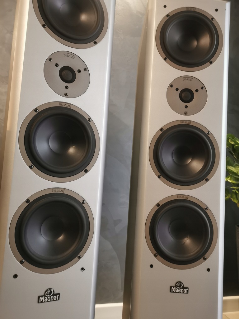 Kolumny Magnat Vector 77 Silver Millenium Edition - 13540273051 ...