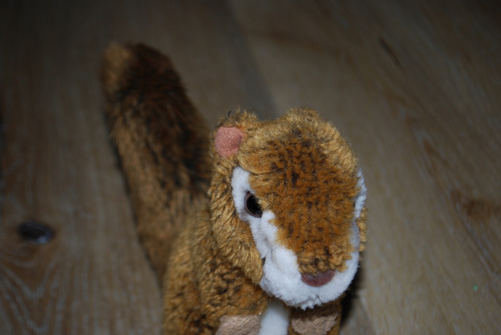 pluszak maskotka fajna wiewiórka Ruda kitka Leosco - 13249282512 ...