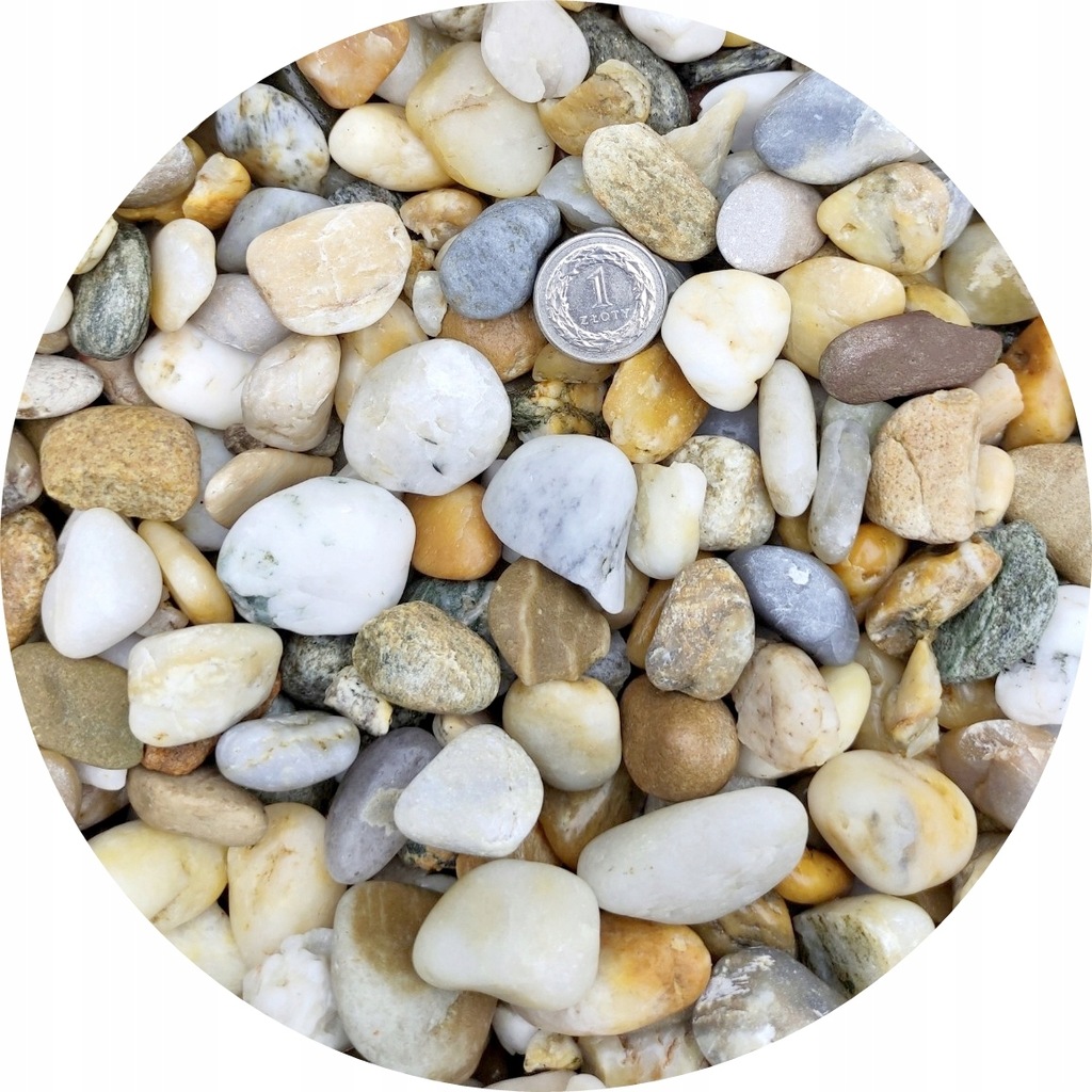 LAS W SŁOIKU OTOCZAK MIX MIODOWY RZECZNY 0,5 KG - 12561652531 ...