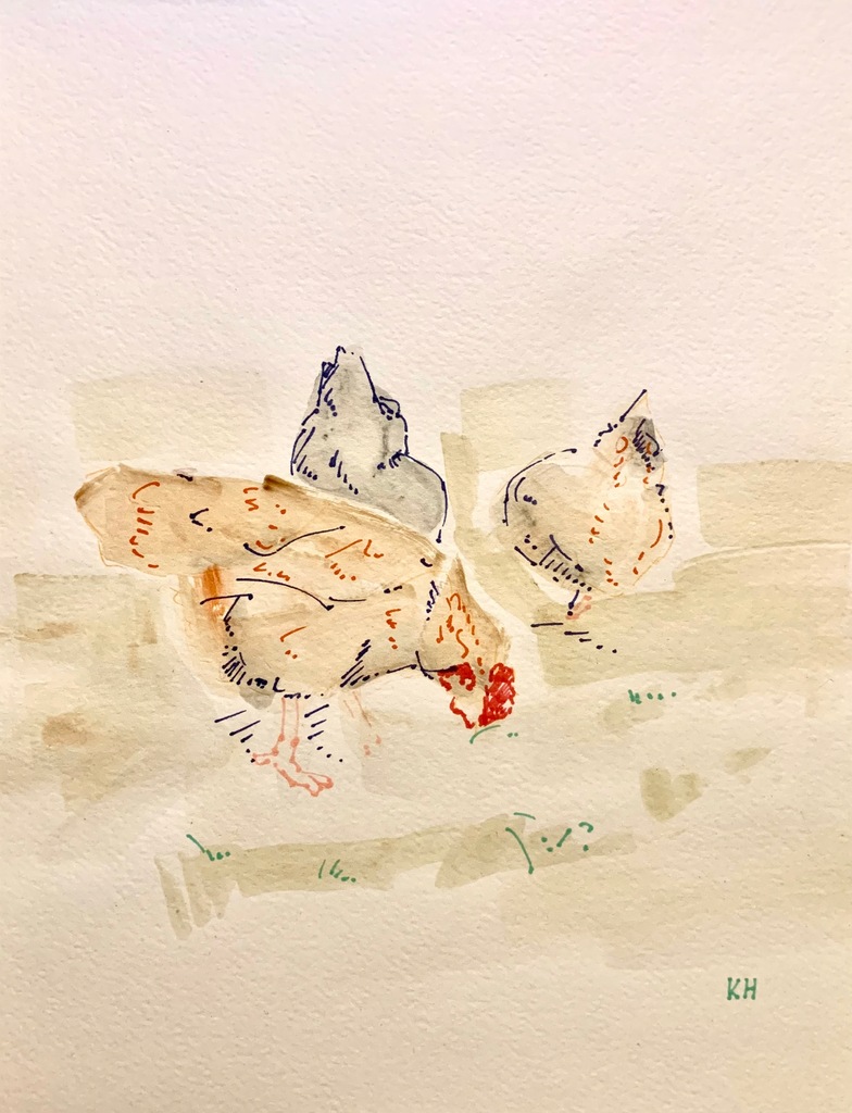 Kury Akwarela+cienkopis Karolina Hebda - 13188789607 - oficjalne ...