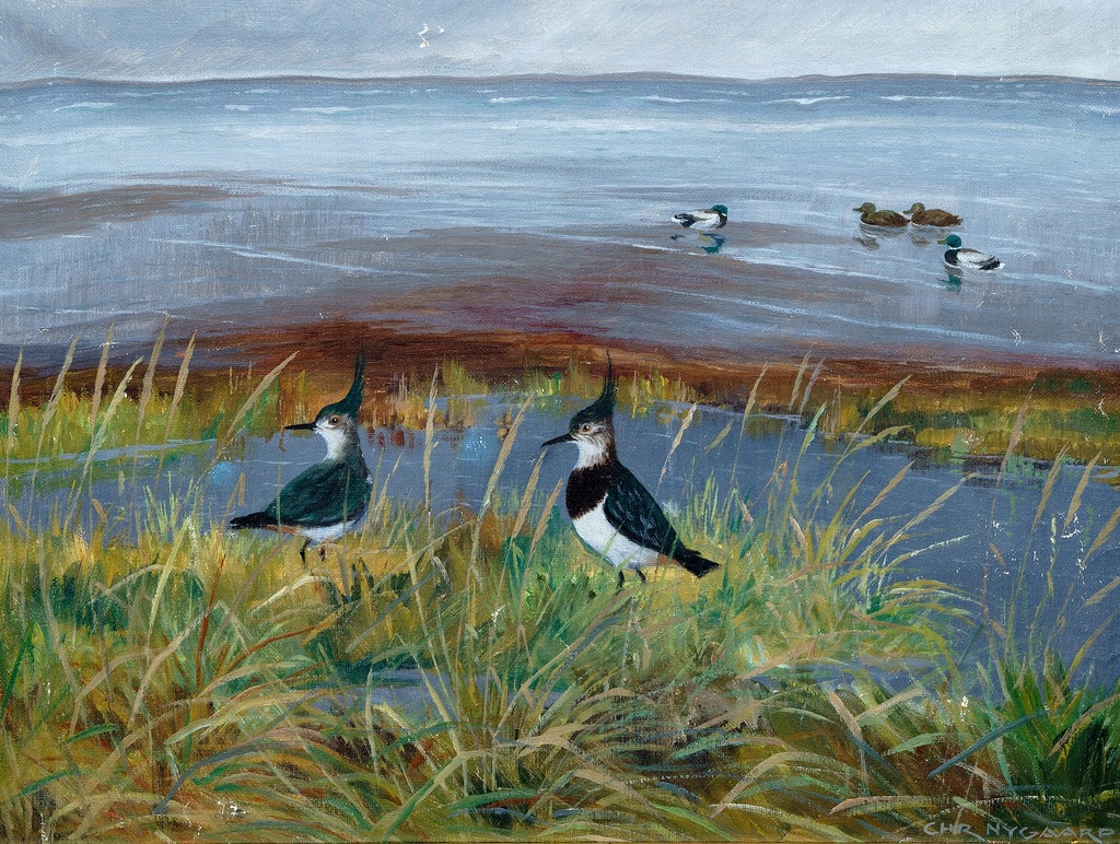 PTAKI CHRISTIAN NYGAARD STARY OBRAZ OLEJNY CENNY - 12082879075 ...