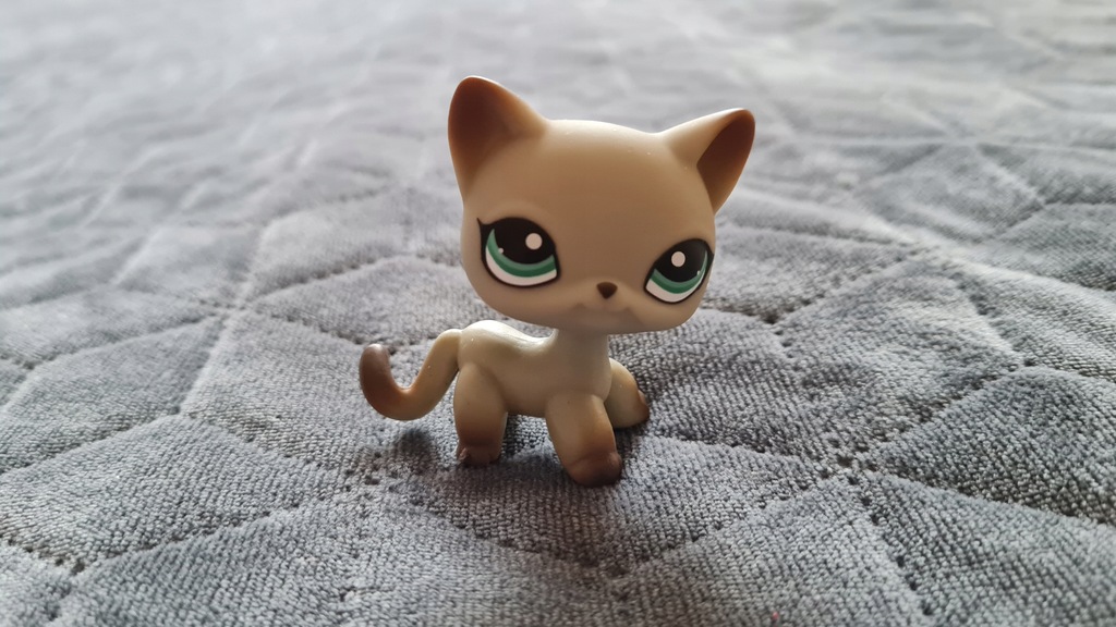 Lps shorthair egipski #391 przezroczysta rurka - 12161652408 ...