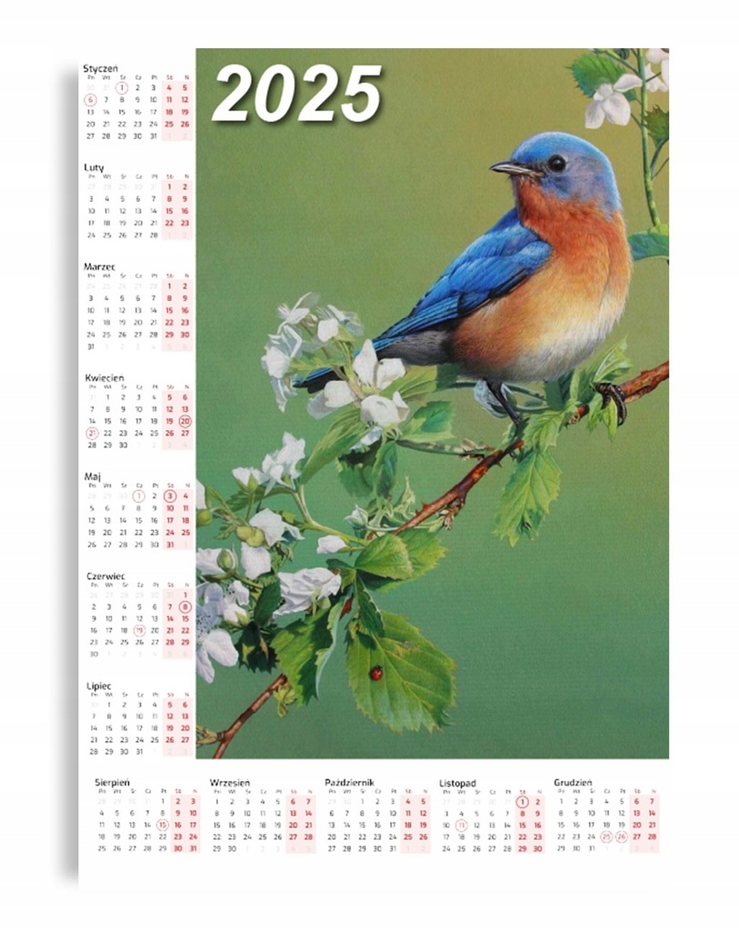 KALENDARZ PLAKATOWY A3 PTAKI 18 2025 ELEGANCKI NA PREZENT - 16925607947 - oficjalne archiwum Allegro