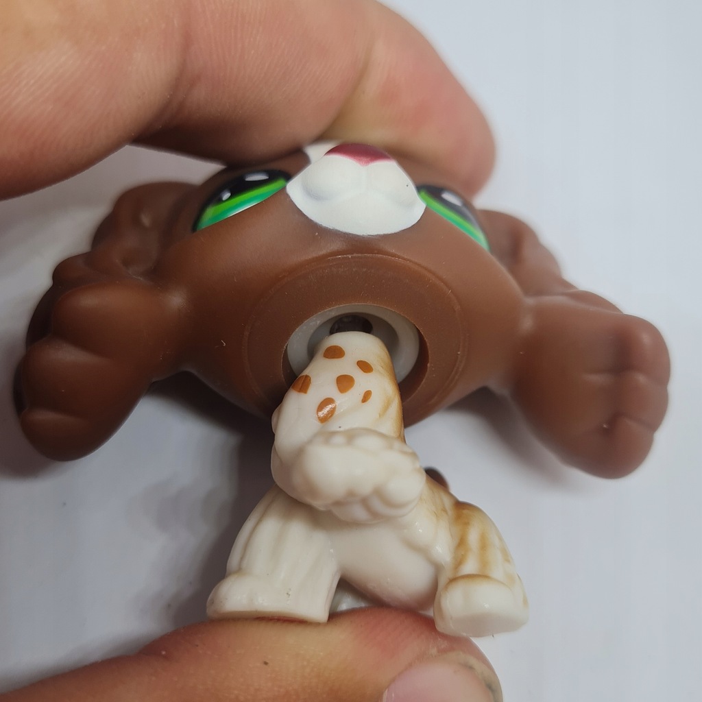 lps spaniel z piegami #156 przezroczysta rurka Org - 13003013935 ...