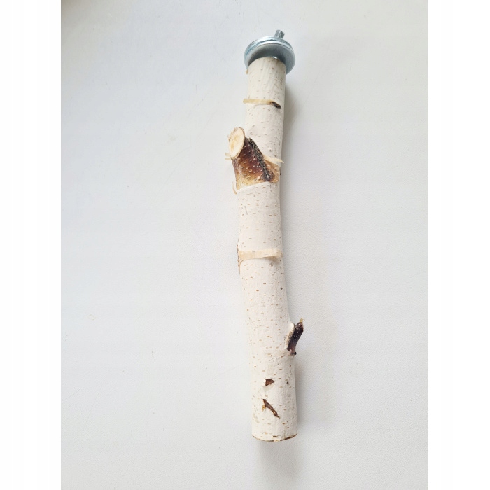 Znudzony Dziubek Żerdź brzozowa 20 cm - 12677564772 - oficjalne ...