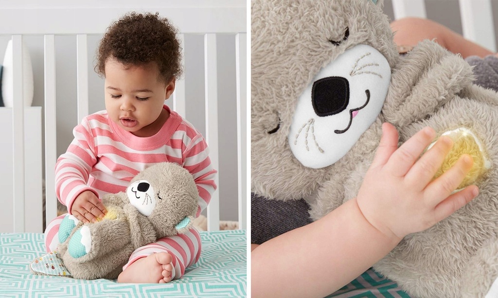 Купить Fisher-Price WHISING OTTLE CALMESTER FXC66: отзывы, фото и ...