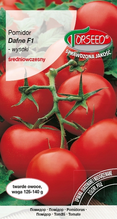Pomidor Dafne F1 wysoki do Tunelu TORSEED - 11824258980 - oficjalne archiwum Allegro