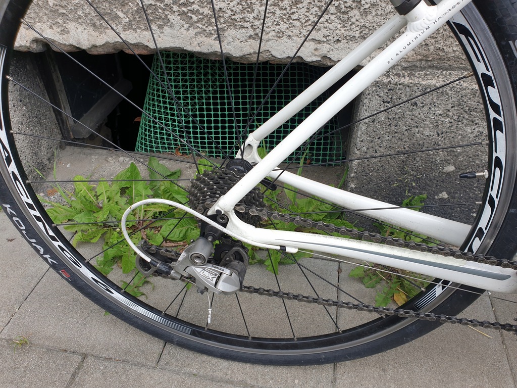 Rower Specialized EN14764 - 12406881895 - oficjalne archiwum Allegro