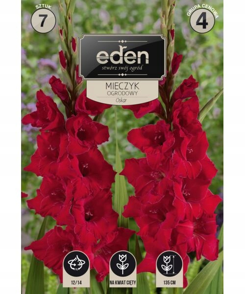 Mieczyk ogrodowy Oskar 7szt. Eden - 13284750800 - oficjalne archiwum ...