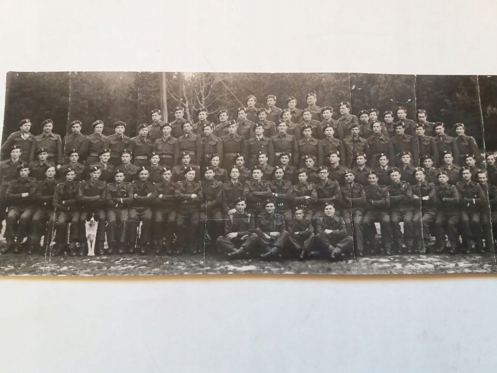 foto Dywizja Grenadierów Pancernych PSZ/Z - 13364625974 - oficjalne ...