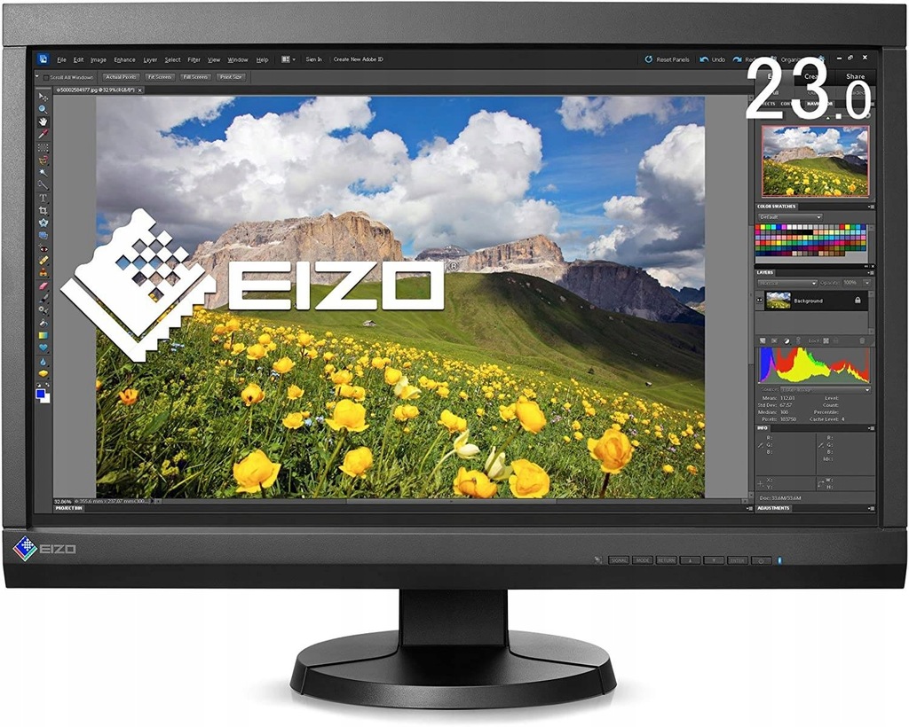 Monitor Eizo ColorEdge CS230 23'' FullHD HDMI sRGB - 13090030672 - oficjalne archiwum Allegro