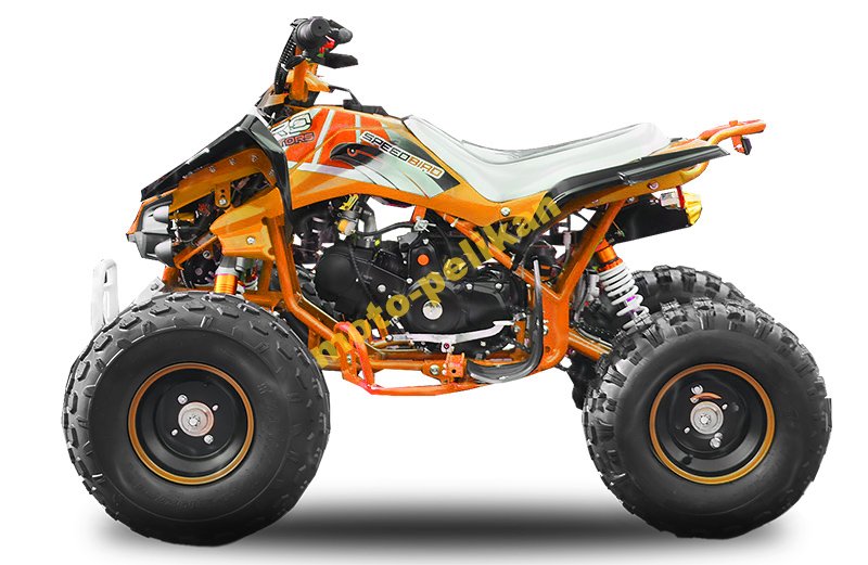 QUAD PANTERA 125 cc BLOKADA PRĘDKOŚCI ALARM LEDY - 8201819726 ...