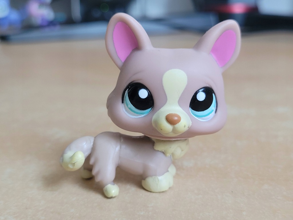 LPS Littlest Pet Shop pies piesek corgi #1158 - 12317392436 - oficjalne ...